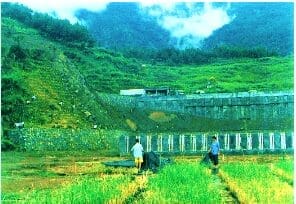 Vetiver Grass Technology for Landslide Mitigation – The Vetiver Network ...